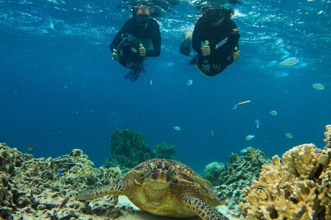 Eco Friendly Sea Scooter Turtle Tour in Rarotonga - Frequently Asked Questions
