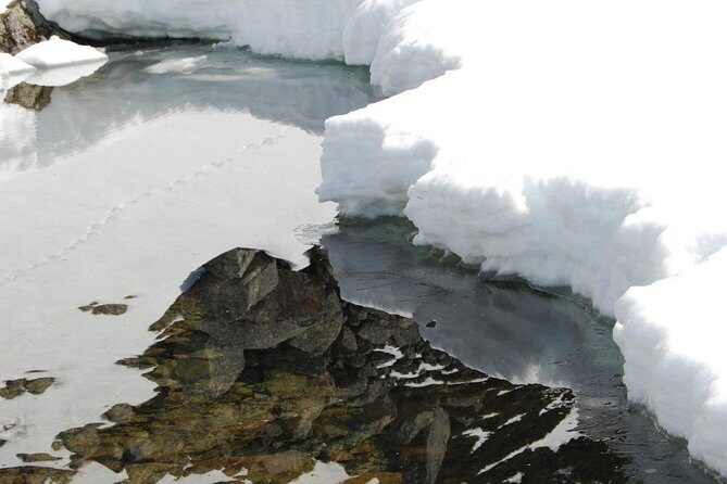 Eco friendly snowshoeing in Scenic Landscape - Who Is This Tour Best For?