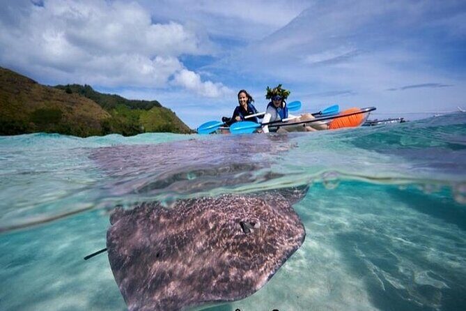 Eco guided excursion to the lagoon of Moorea in a transparent kayak Afternoon 2h - What Is This Tour All About?