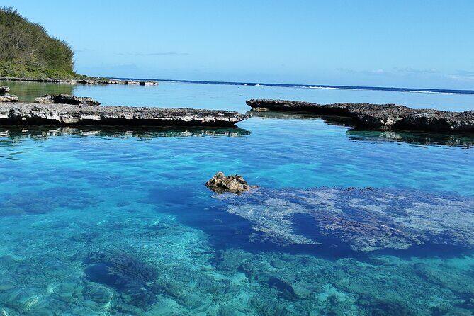 Eco Kayak Excursion in Moorea Lagoon for a Day - FAQs