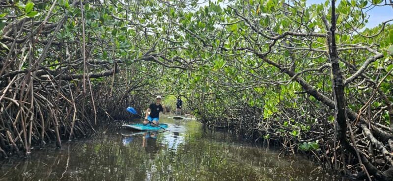 Eco River Adventure - Pricing and Value