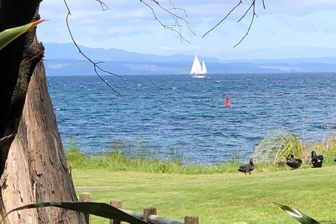 Eco Sailing Tour to Maori Rock Carvings on Lake Taupo - Meeting Point and Practical Details