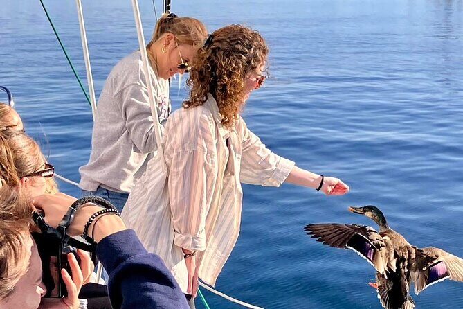 Eco Sailing Tour to Maori Rock Carvings on Lake Taupo - What Travelers Say