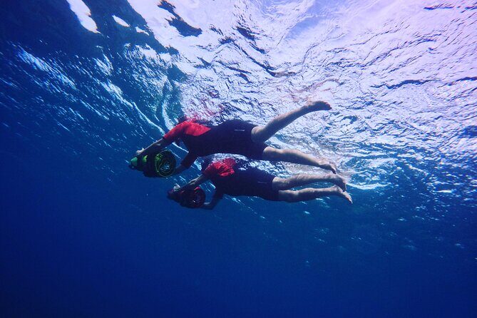 Eco Sea Scooter Beach Entry - Rent a GoPro Video tape Sea Turtles - What Makes This Tour Unique?