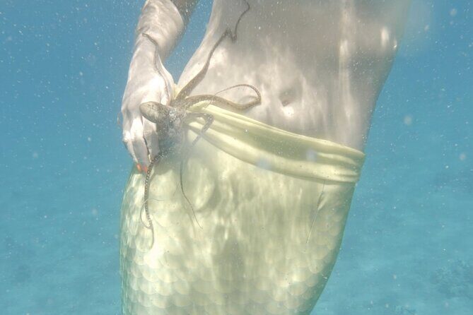 Eco Sea Scooter Beach Entry - Rent a GoPro Video tape Sea Turtles - FAQs