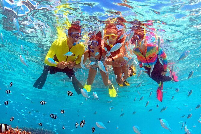 Eco Snokeling in Piti Bay Marine - Discover the Beauty of Guam’s Marine Preserve with Eco Snorkeling in Piti Bay