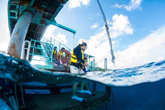 Eco Snokeling in Piti Bay Marine - An In-Depth Look at the Eco Snorkeling Experience in Piti Bay