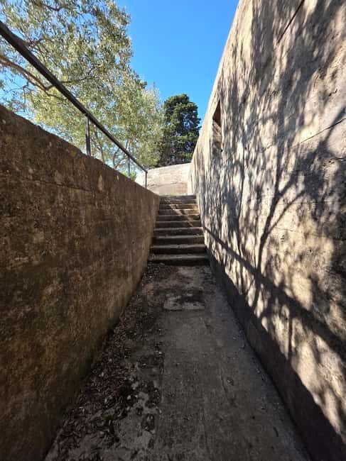 Eco tuk tuk Highlights of Zadar - The Sum Up