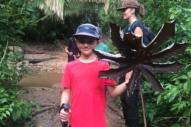 EcoHike experience through the jungle, mountains and hidden beach - Possible Drawbacks or Considerations