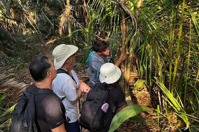 EcoHike experience through the jungle, mountains and hidden beach - Who Should Book This Experience?