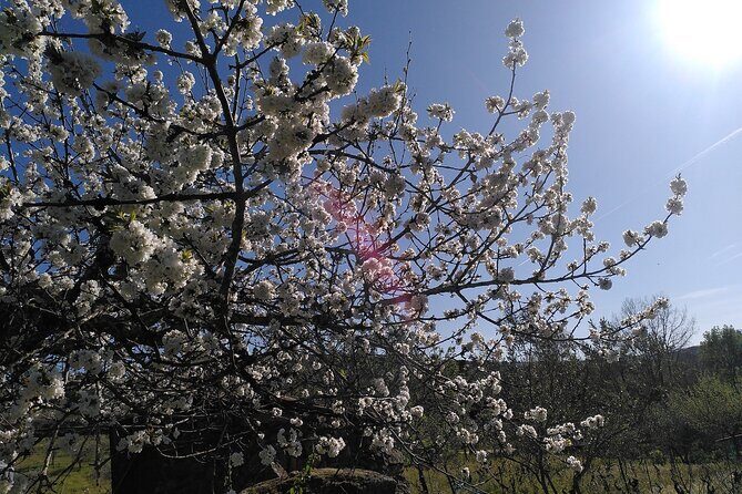 Ecotourism: Organic Farm & Animal Tour near Serra da Estrela - Exploring the Farm Experience