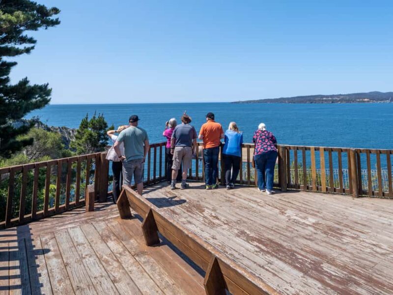 Eden: 2-Hour Highlights Tour, Nature, Beaches and Lookouts - Key Points