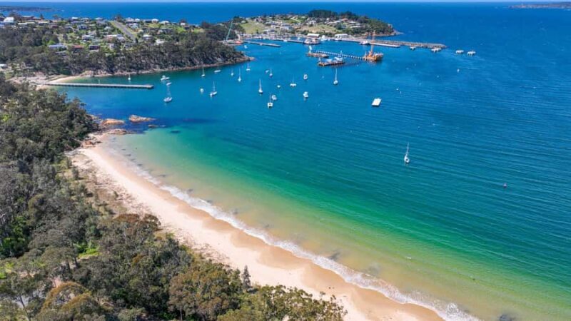 Eden: 2-Hour Highlights Tour, Nature, Beaches and Lookouts - Practical Details: What You Need to Know