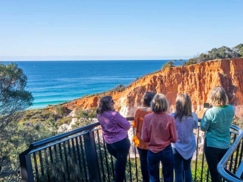 Eden: 2-Hour Highlights Tour, Nature, Beaches and Lookouts - Authentic Experiences and Insights from Travelers