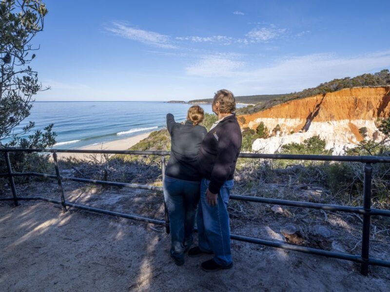 Eden: 2-Hour Highlights Tour, Nature, Beaches and Lookouts - Who Will Enjoy This Tour?