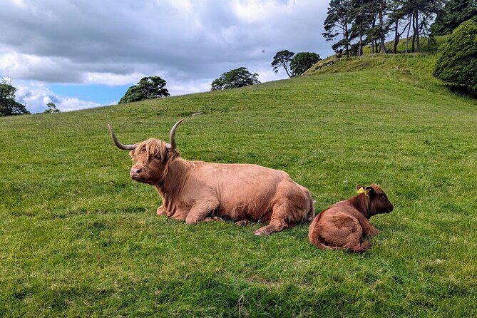 Edinburgh Bridges & Countryside BIke & Ebike Tour with Transfers - FAQ