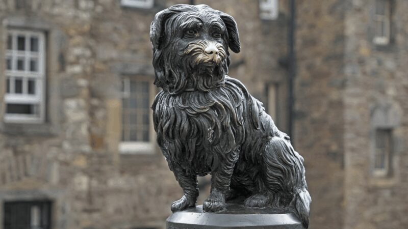 Edinburgh: Edinburgh Castle & Old Town Small Group Tour - Key Points