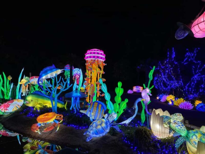 Edinburgh: Edinburgh Zoo Giant Lanterns Entry Tickets - FAQ