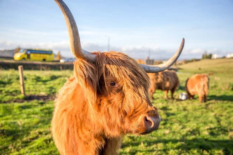 Edinburgh: Isle of Skye, Inverness, and Highlands 3-Day Tour - Who Would Love This Tour?