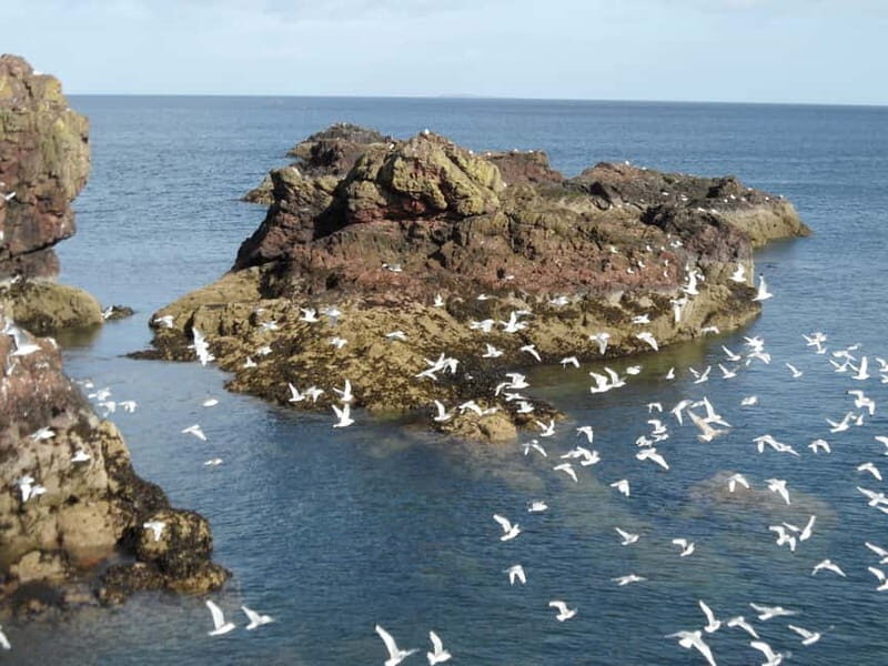 Edinburgh: Private Guided Walking Tour - Final Thoughts: Is It Worth It?