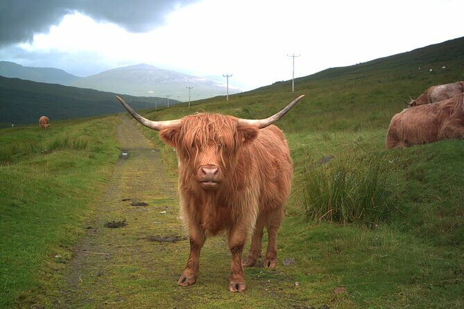 Edinburgh: Private Loch Ness Glencoe and The Highlands Tour - Key Points