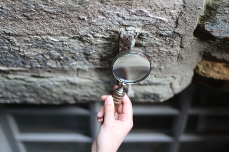 Edinburgh: Sherlock Holmes Private Walking Tour - Who Will Love This Tour?