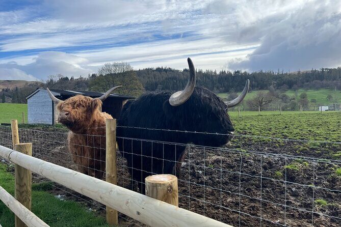 Edinburgh: The Kelpies, Stirling Castle, Loch Lomond & Trossachs - A Deep Dive into the Tour Experience
