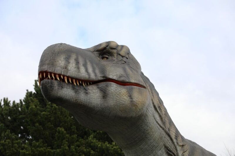 Edinburgh Zoo Entrance Ticket - Final Thoughts