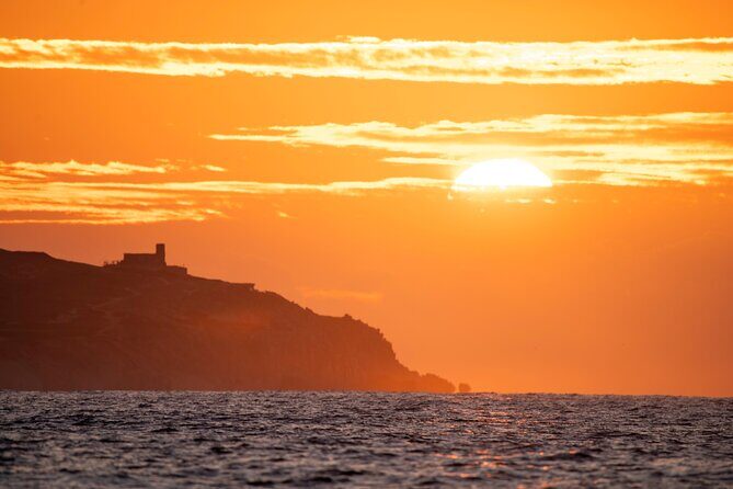 Educational Sunrise Whale Watching with Photos Included - The Itinerary: What to Expect