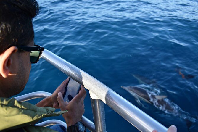 Educational Whale Watching Tour from Perth - Pricing and Value for Money