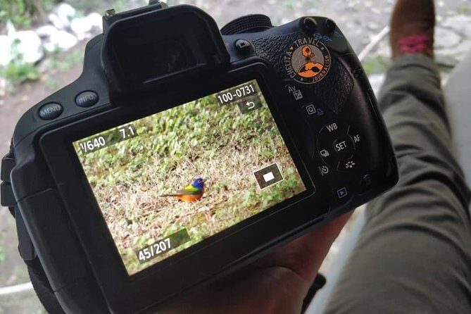 Edzná, the house of the Itzaes - Practical Details and Tips