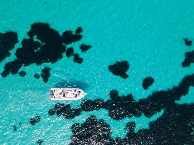 Egadi Boat Experience: Favignana & Levanzo from Trapani - Why This Tour Works