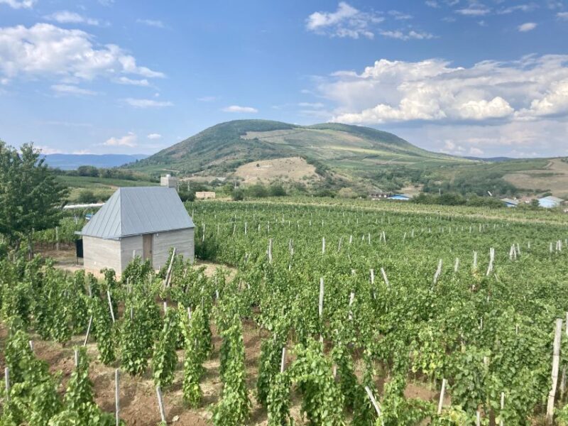 Eger: Countryside, Culture, and Wine Private Tour - The Sum Up