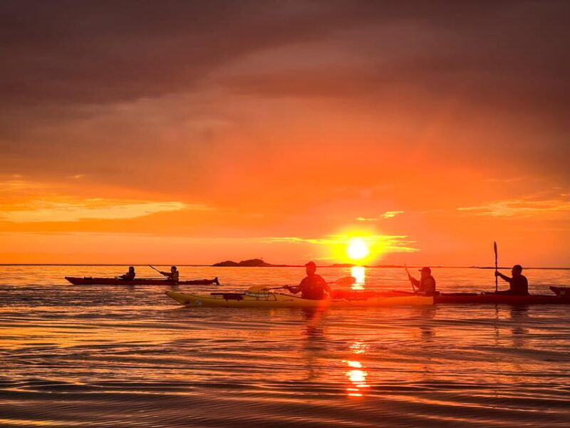 Eggum: Lofoten Islands Midnight Sun Kayak Tour - Final Summary  