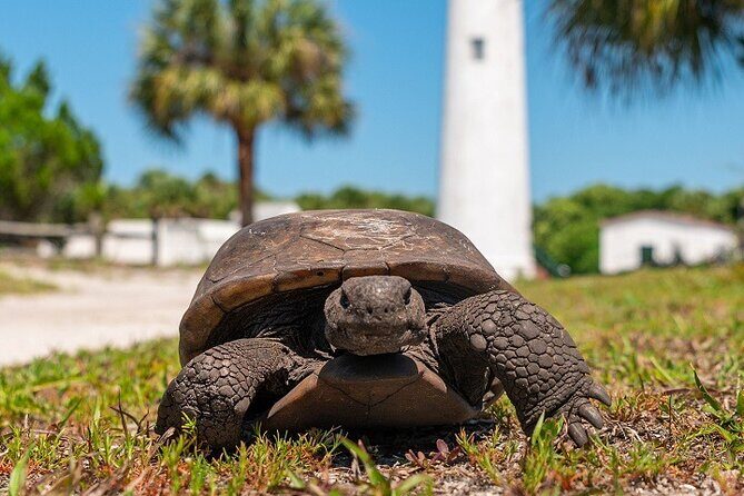 Egmont Key Ferry from Ft. DeSoto Park - Exploring Egmont Key: What Do You Do When You Arrive?