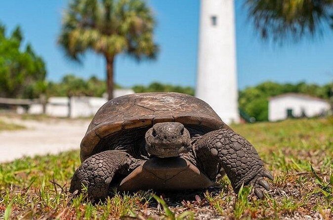 Egmont Key Ferry from Ft. DeSoto Park - The Value of the Experience