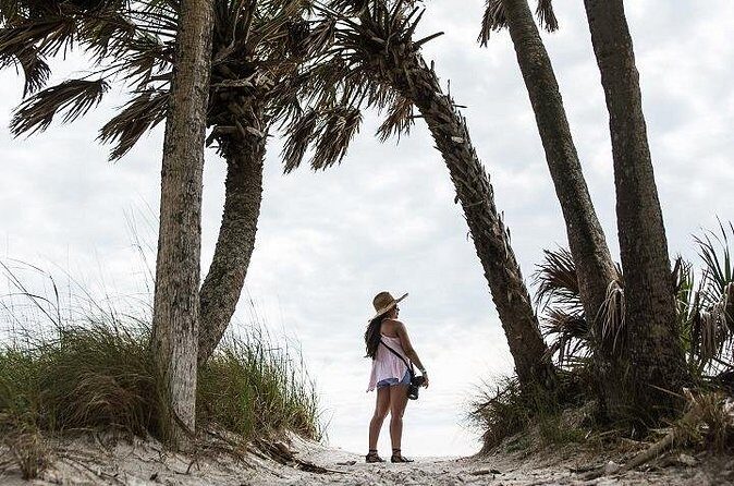 Egmont Key Ferry from Ft. DeSoto Park - Who Should Consider This Tour?