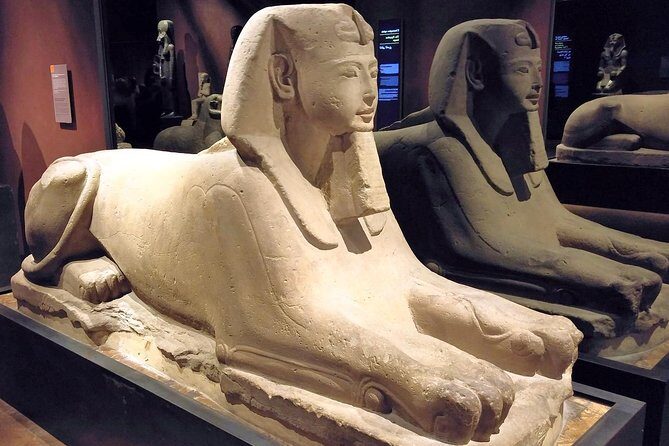 Egyptian Museum of Turin Private Tour with Expert Guide & Skip-the-line Tickets - Who Will Love This Tour?