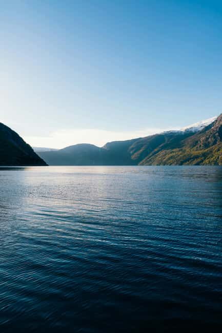 Eidfjord: Shore Excursion with Scenic Adventure - Key Points
