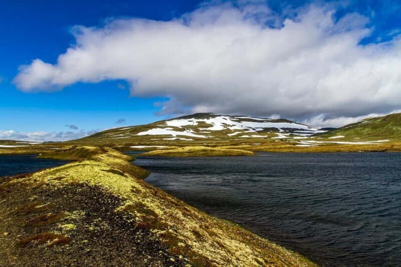Eidfjord: Shore Excursion with Scenic Adventure - The Itinerary Breakdown: What to Expect