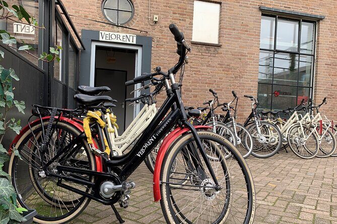 Eindhoven: Guided bicycle tour of the Highlights of Eindhoven - Iconic Landmarks and Hidden Gems
