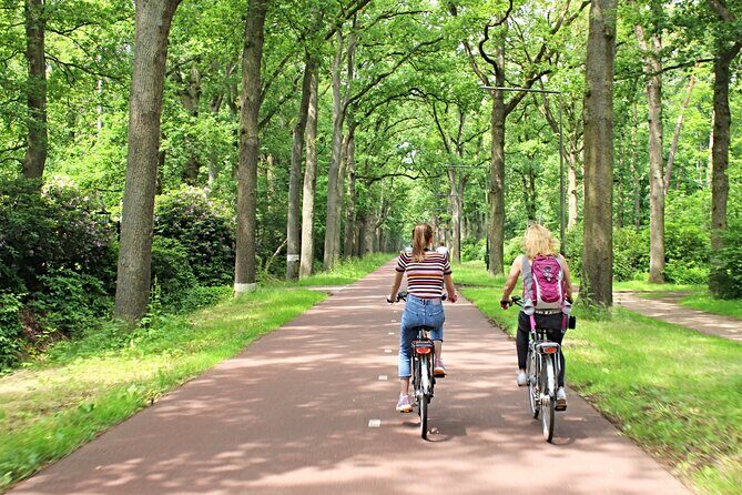 Eindhoven: Guided bicycle tour of the Highlights of Eindhoven - What the Reviews Say