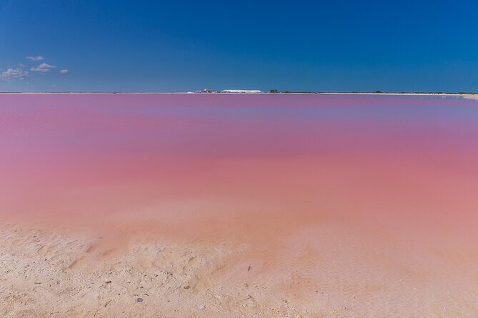 Ek Balam, Pink Lakes, Cenote & Tequila Factory Semi-Private Tour - Tequila Tasting at a Traditional Distillery