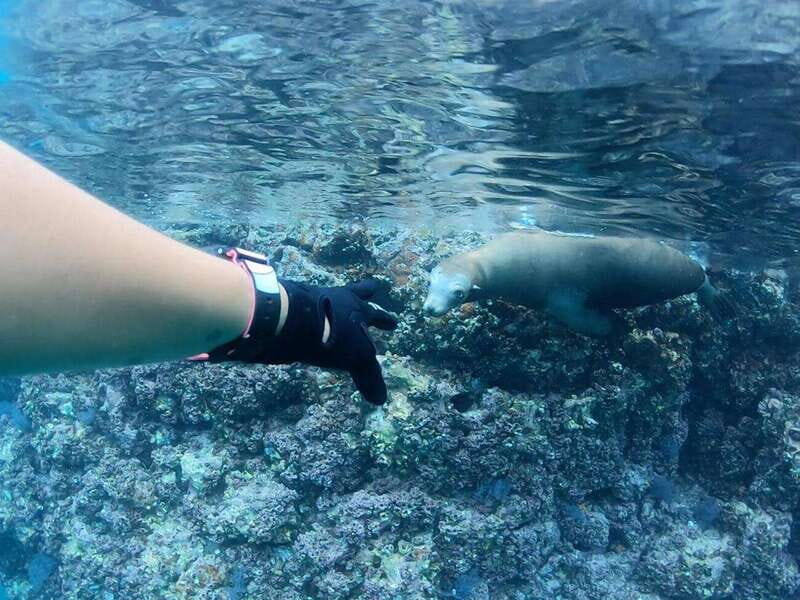 El Cabo: Incredible Private Tour to Espiritu Santo - Exploring Espiritu Santo Island: A Natural Wonder  