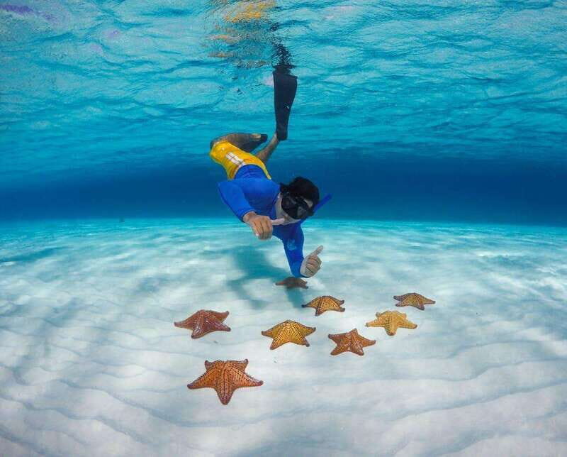 El Cielo and El Cielito in Cozumel with Beach Club, Food, and Open Bar - Exploring the Day: What to Expect from This Cozumel Tour