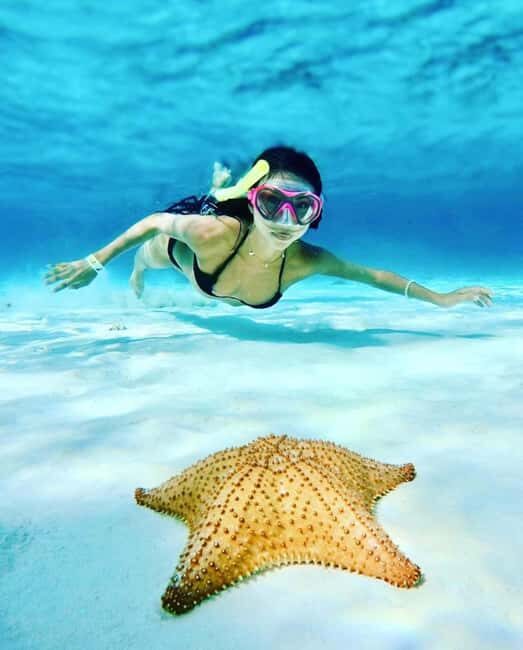 El Cielo and El Cielito in Cozumel with Beach Club, Food, and Open Bar - Authentic Insights from Reviews