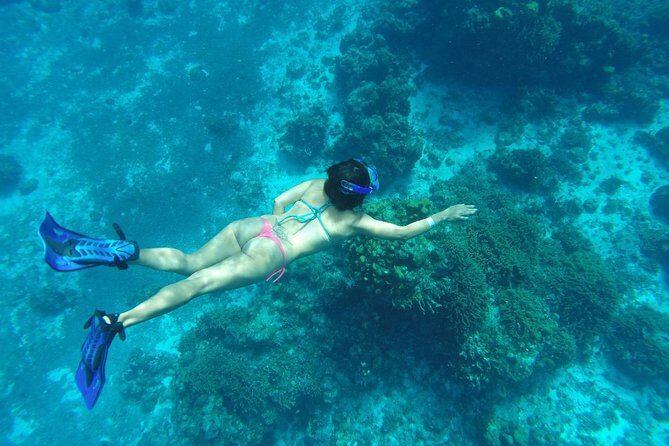 El Cielo and Snorkel Private Excursion - Is This Tour Right for You?  
