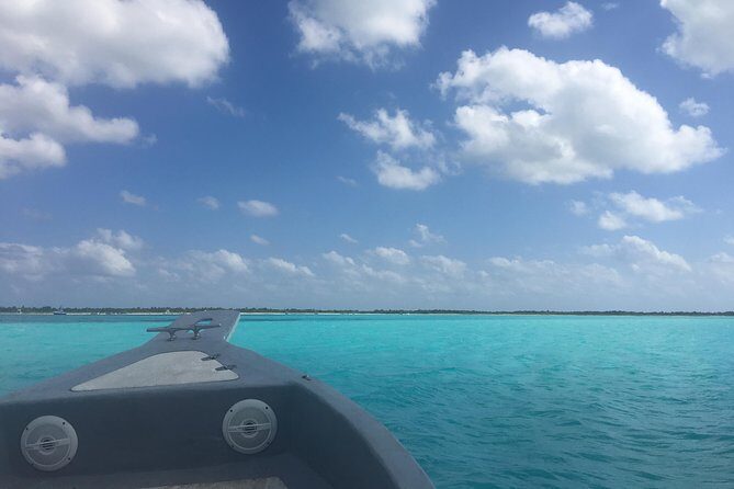 El Cielo and Snorkel Private Excursion - Final Thoughts: Why Choose This Tour?  