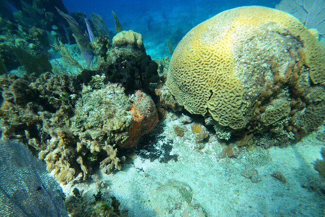 El Cielo and Snorkeling for Cruise Ship Passengers - Final Thoughts