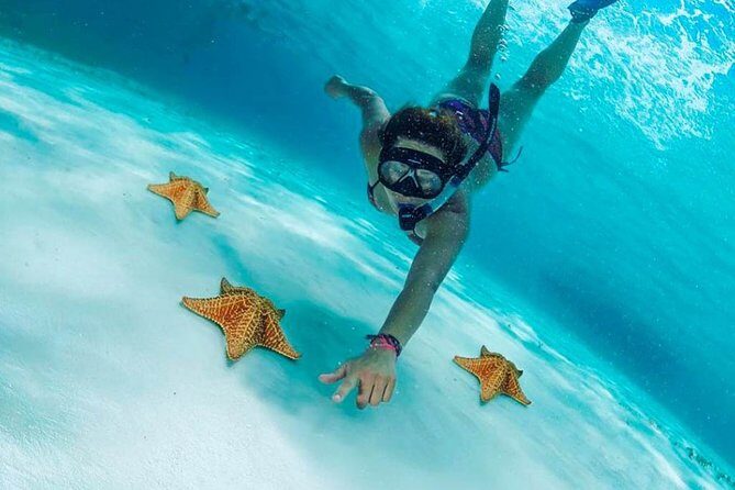 El Cielo Cozumel, a paradisiacal tour. Be amazed by the stars near to you. - What the Tour Entails: An In-Depth Look